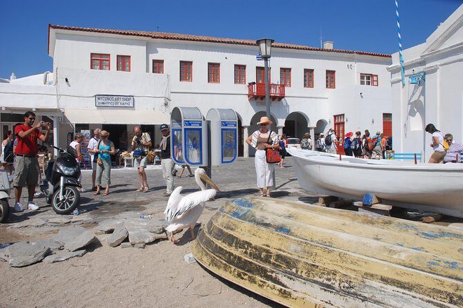 City & Island Tour - Frequently Asked Questions