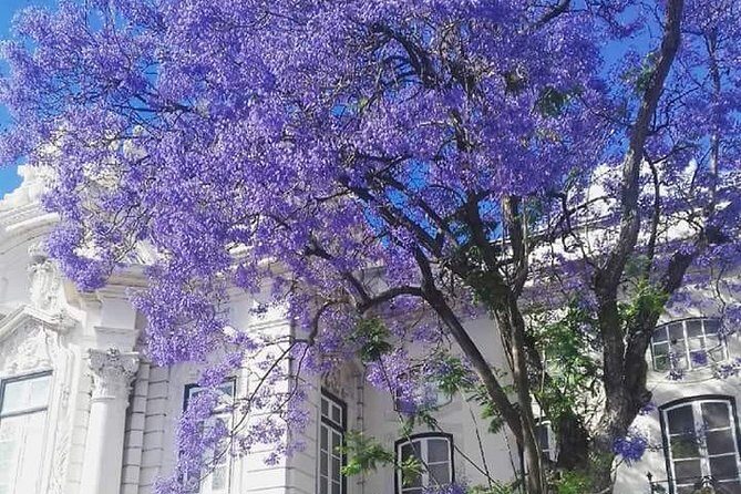 City of Neighborhoods Tour II by Tuk Tuk - Pricing and Value