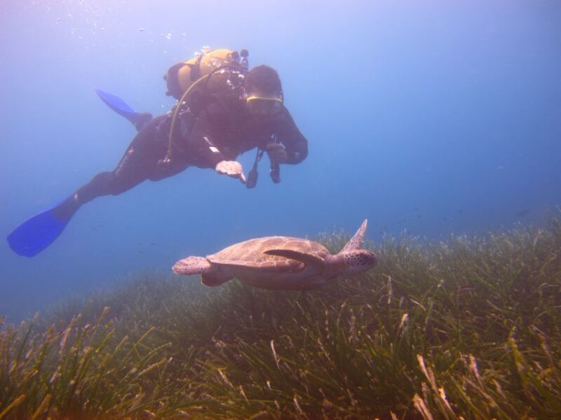 City of Side: Underwater Museum Scuba Diving Visit - An Enthralling Look at Side’s Underwater Museum