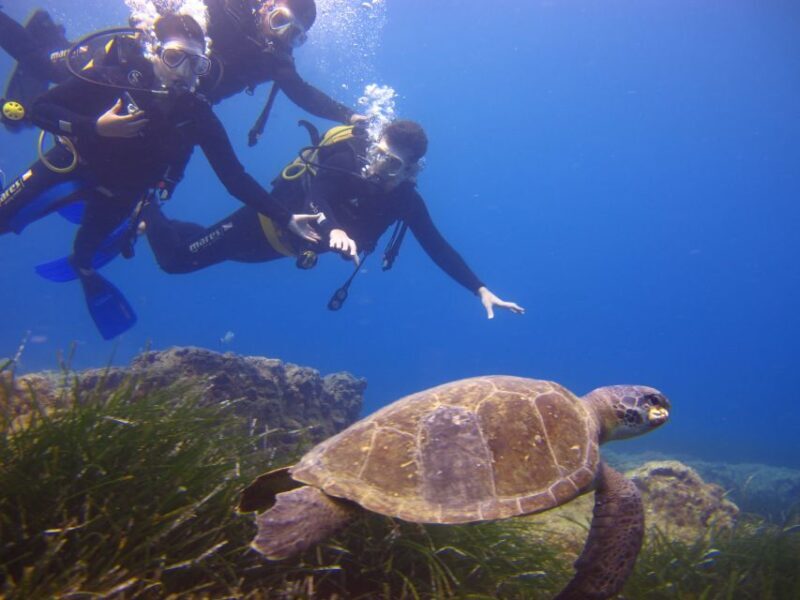 City of Side: Underwater Museum Scuba Diving Visit - Assessing the Value and Practicalities