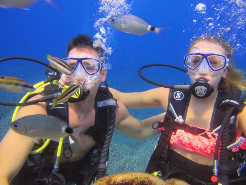 City of Side: Underwater Museum Scuba Diving Visit - Who Will Love This Tour?