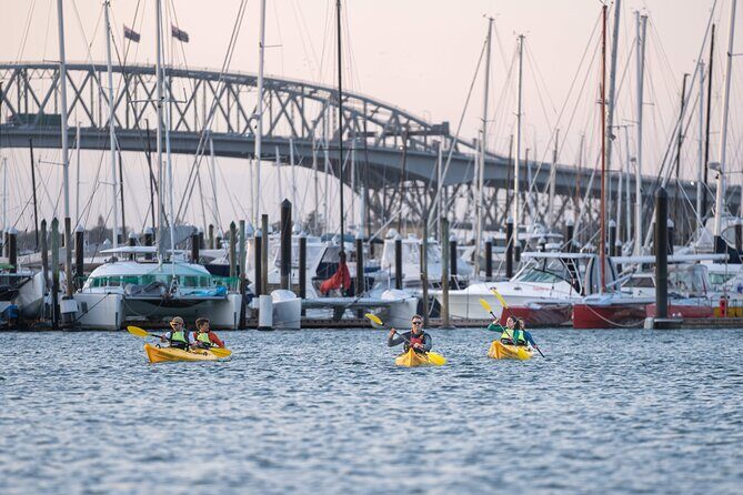 City Scenes Kayak Tour in Auckland - Explore the Waterfront - Exploring Auckland’s Waterfront from the Water: A Review of the City Scenes Kayak Tour