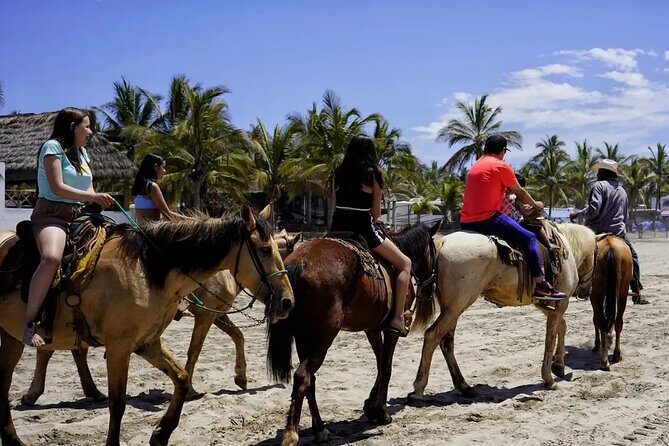City Tour & Beach Day All Inclusive W Horse Ride & Water Sports - The Itinerary in Detail
