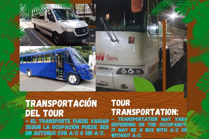 City tour express; butterfly, tequila, and beach an ecological day - Exploring the Itinerary: What to Expect