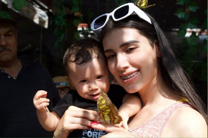 City tour express; butterfly, tequila, and beach an ecological day - Is This Tour Right for You?