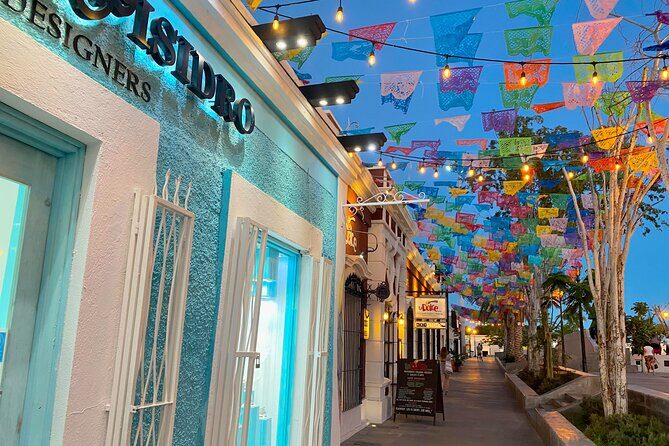 City Tour in San Jose del Cabo & Cabo San Lucas - Who Should Consider This Tour?