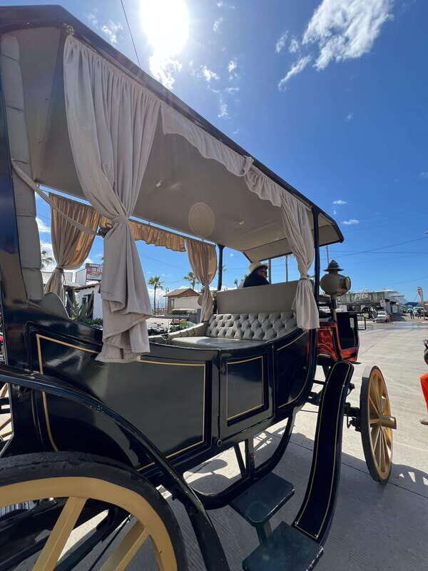 City tour on electric horse wagon. - An Honest Look at the Electric Horse Wagon Tour in Ensenada