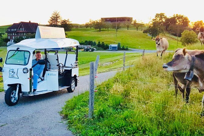 City Tour Plus Lucerne by Etuktuk - The Itinerary: What to Expect