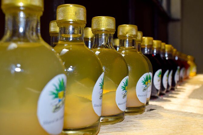 City tour Puerto Escondido - In-Depth Review of the Puerto Escondido City Tour