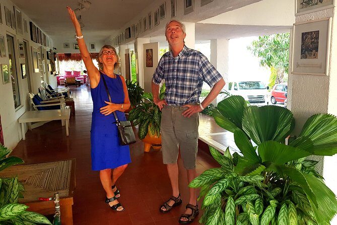 City Tour & Sunset High Cliff Divers by Night w/Different Choices - Overall Experience: Who Will Enjoy It?