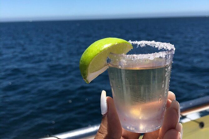 City Tour, Tequila tasting, Sunset Cruise & Dinner in Cabo San Lucas - Final Thoughts on Value