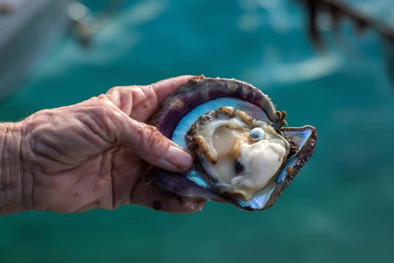 City Tour to Cabo San Lucas and Transparent boat to the Arch - Exploring the Itinerary: A Closer Look