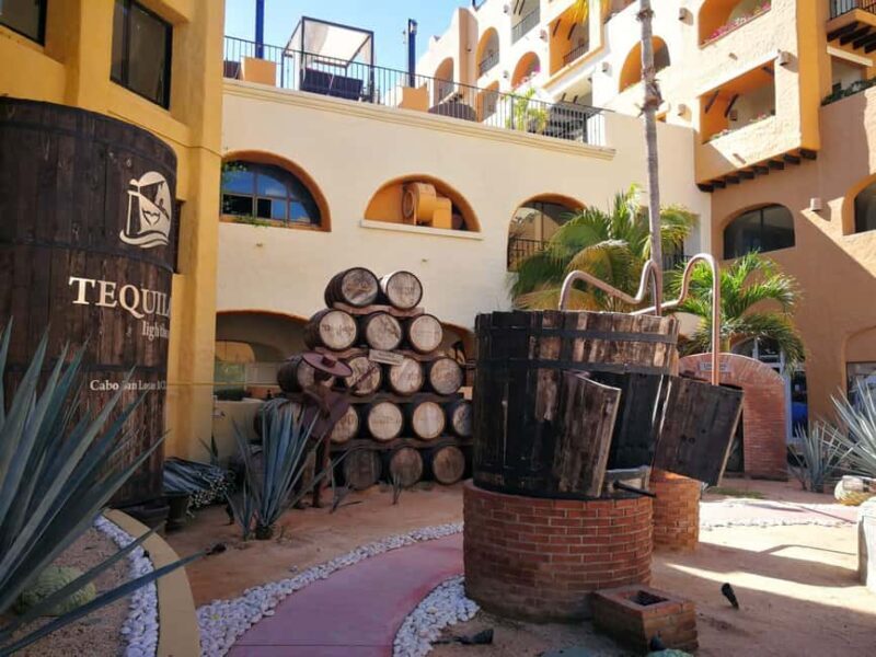 City Tour to Cabo San Lucas and Transparent boat to the Arch - Practical Tips for Making the Most Out of This Experience