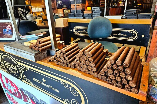 City Vibes & Bay Rides - Key Points