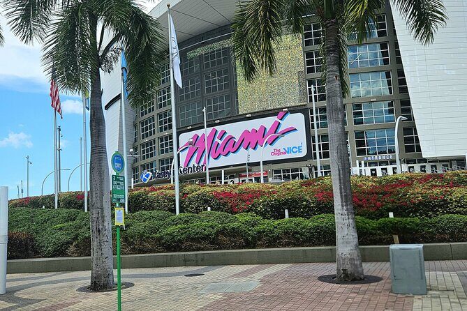 City Vibes & Bay Rides - Final Words