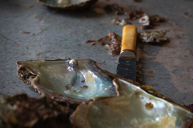 CityTour to San Jose, Cabo San Lucas and Arch Tour in Clearboat - In-Depth Look at the Tour Experience