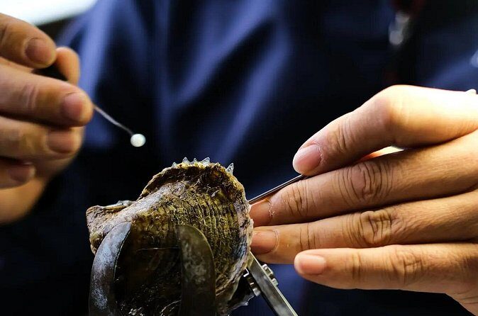 CityTour to San Jose, Cabo San Lucas and Arch Tour in Clearboat - FAQs