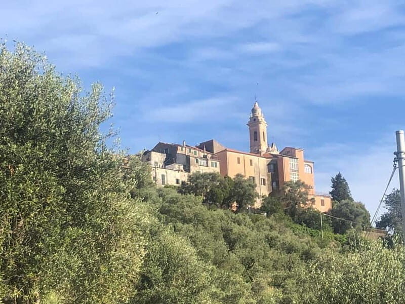 Civezza: western Liguria beyond the sea. Oil, wine, and a historic village. - Additional Information