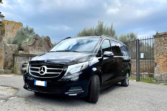 Civitavecchia Cruise Ship Port to Rome Hotel Private Transfer - Booking Process and Flexibility