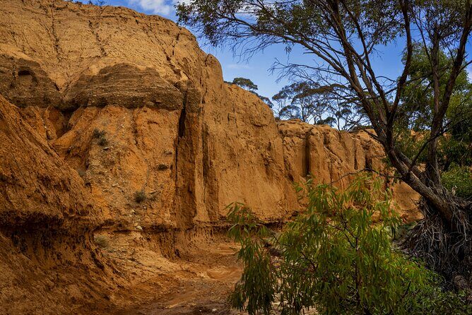Clare Valley to Red Banks History and Landscape Day Tour - Final Thoughts: Is This Tour Worth It?