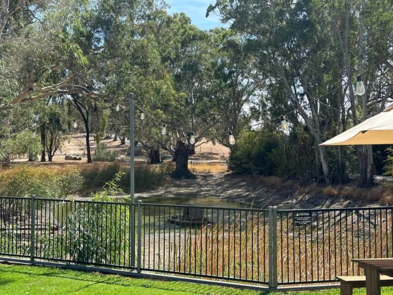 Clare Valley Uncorked: Full-Day Wine Adventure - What Travelers Can Expect: A Closer Look