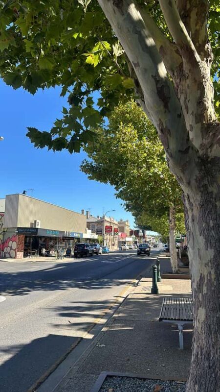 Clare Valley Uncorked: Full-Day Wine Adventure - Practical Details & Booking