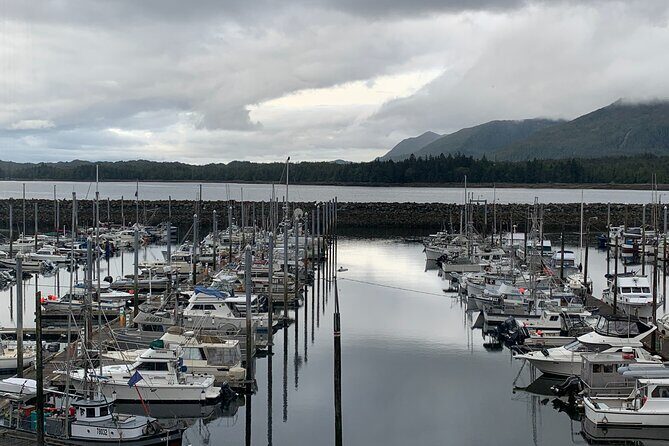 Clarke's Custom Island Tour (up to 11 guests) - Practical tips for booking and enjoying the tour