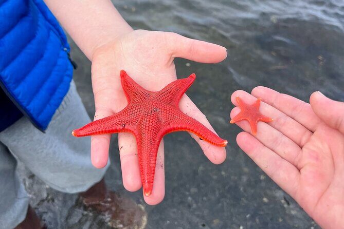 Clarke's Custom Island Tour (up to 11 guests) - The Sum Up