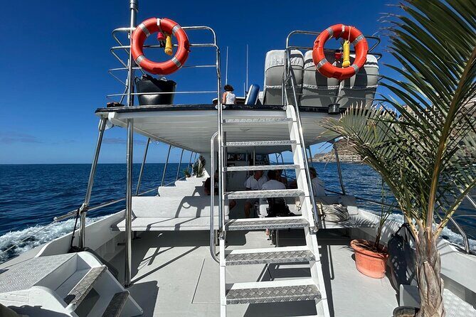 Classic Boat Trip through South Gran Canaria - Key Points