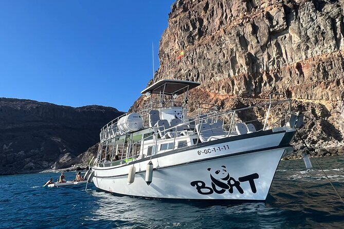 Classic Boat Trip through South Gran Canaria - Whats Included & What You Should Know