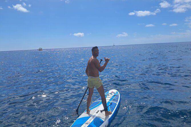 Classic Boat Trip through South Gran Canaria - Considering the Price and Value