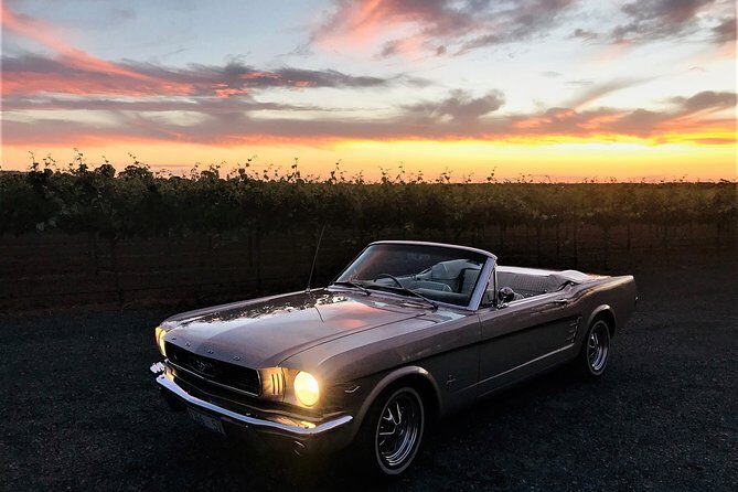 Classic Mustang Convertible Barossa Valley Half Day Private Tour For 2 - Key Points