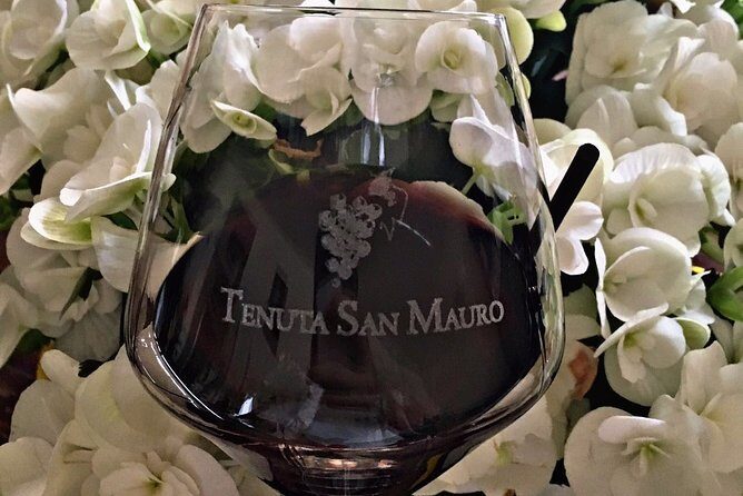 Classic Private Wine Tasting in Castagnole delle Lanze - The Experience in Detail