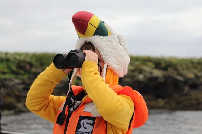 Classic Puffin Watching Cruise from Downtown Reykjavík - FAQs