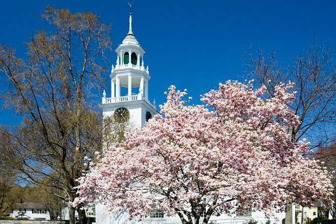 Classic Television and Sightseeing Locations 1 Day Tour in Boston - Final Thoughts: Who Is This Tour Best For?