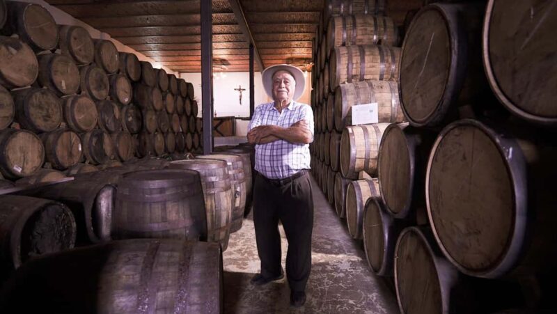 Classic Tequila Route Tour from Guadalajara and cantaritos el GÜERO!!! - The Itinerary in Detail