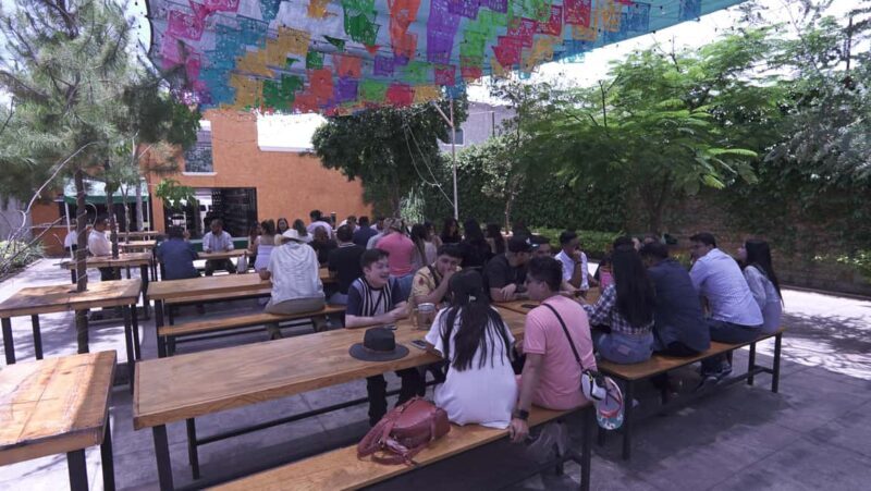 Classic Tequila Route Tour from Guadalajara and cantaritos el GÜERO!!! - Who Is This Tour Best For?