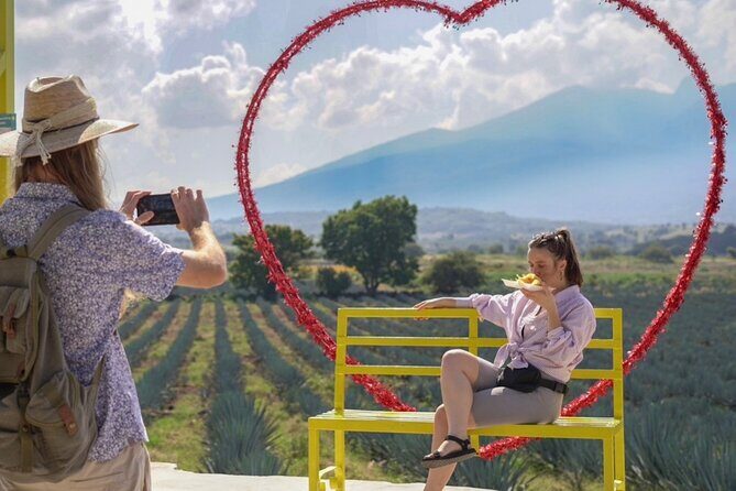 Classic Tequila Tour and CANTARITOS EL GÜERO - Key Points  