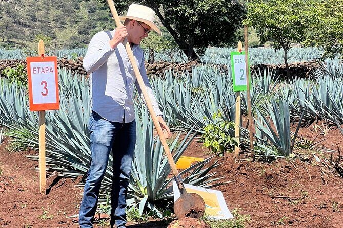 Classic Tequila Tour and CANTARITOS EL GÜERO - The Itinerary in Detail: What Makes Each Stop Special