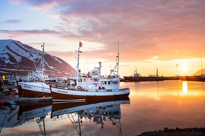 Classic Whale Watching from Dalvík Near Akureyri - The Itinerary Breakdown: What to Expect