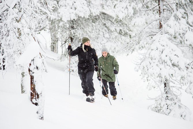 Classic Wilderness Skiing in the Pyhä-Luosto National Park - Key Points