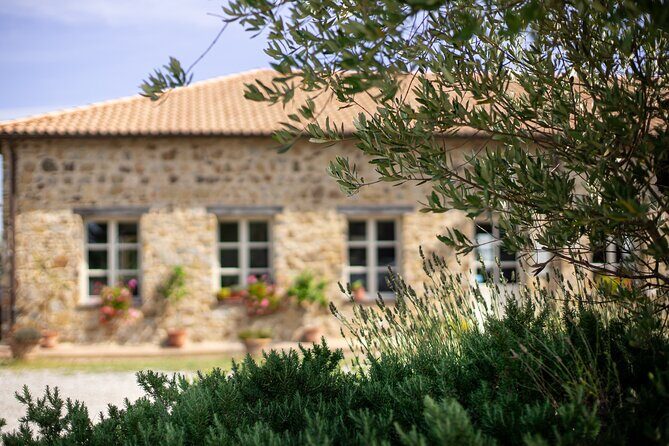 Classic Wine Tasting in Montalcino - Practical Details and Tips