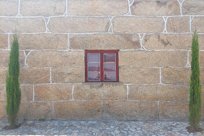 Classic Wine Tasting with GUIDED TOUR - An In-Depth Look at the Experience