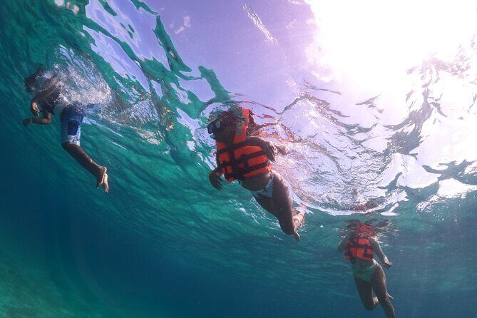 Clear Boat Adventure to Shipwrecks and Snorkel - Final Thoughts