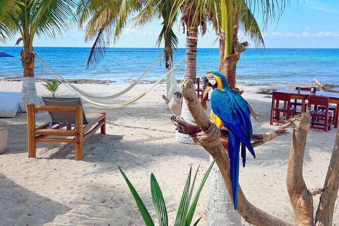 Clear Boat and Island Tour by Buggy with Mayan Experience - How the Itinerary Unfolds