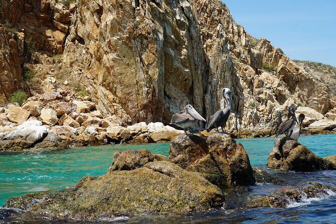Clear Boat Ride in Los Cabos - Authentic Experiences from Reviewers