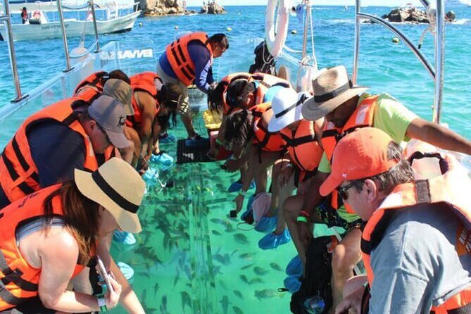 Clear Boat Tour in Cabo San Lucas - What to Expect on the Boat