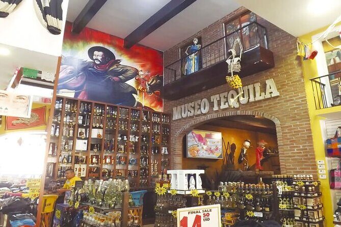 Clear Boat Tour in Cabo San Lucas - Authentic Experiences and Real Reviews