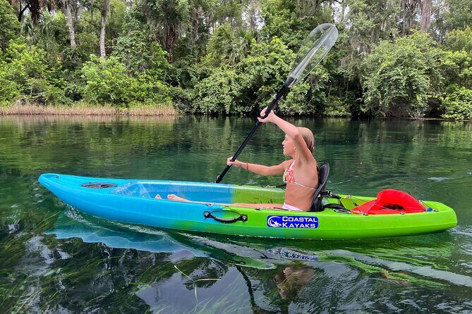 Clear Bottom Kayak Rental for Kings Bay Three Sisters Springs - Who’s This Tour Best For?