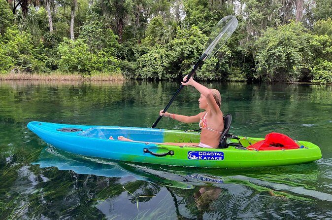 Clear Bottom Kayak Rental for Kings Bay Three Sisters Springs - The Sum Up